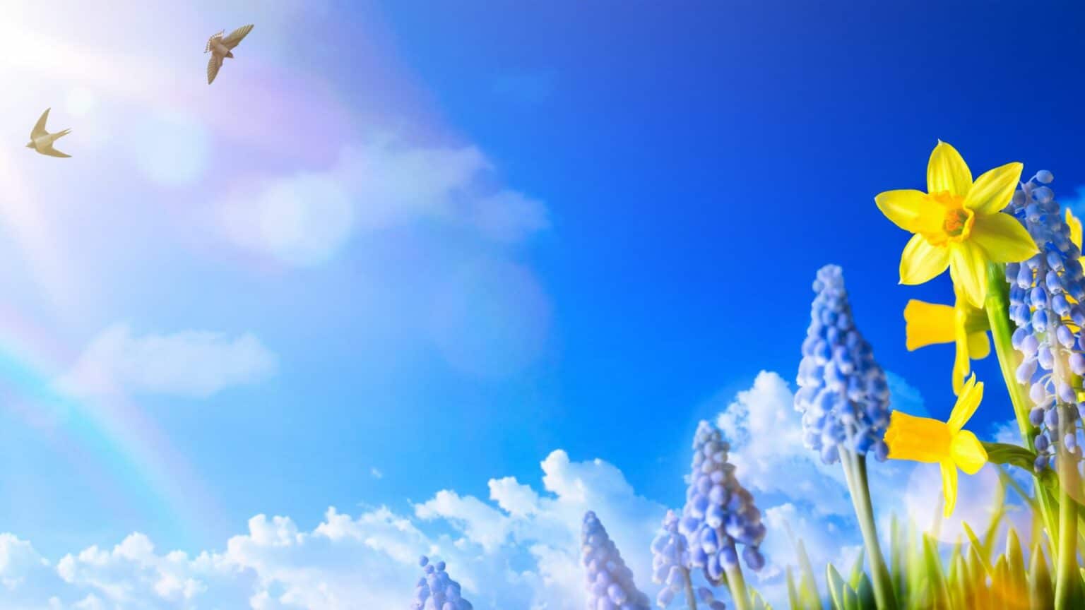 Homepage - Wellspring